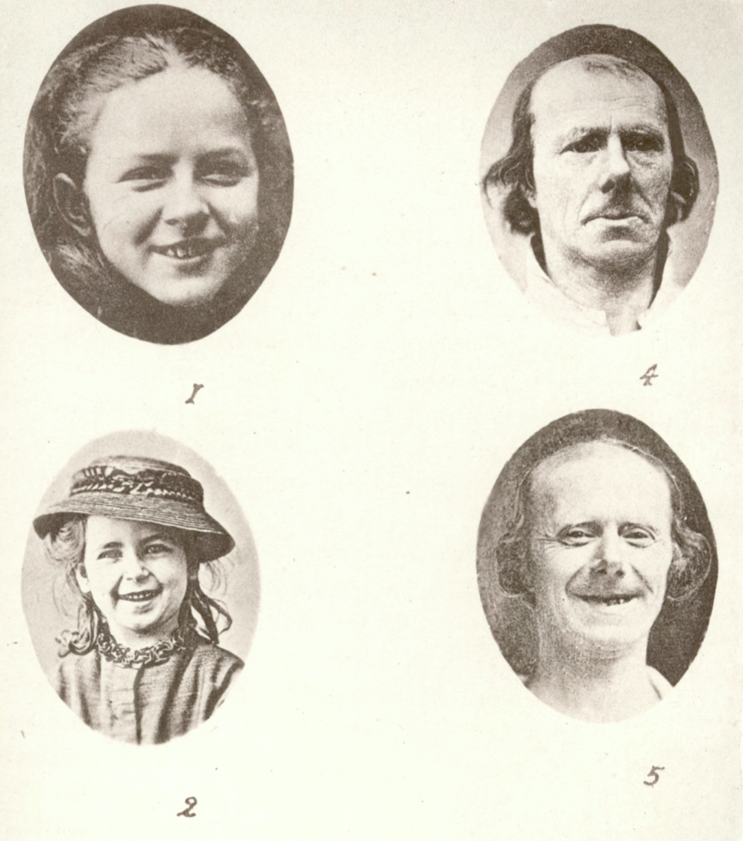 The class smile : Portrait photography and the culture of expressivity ...