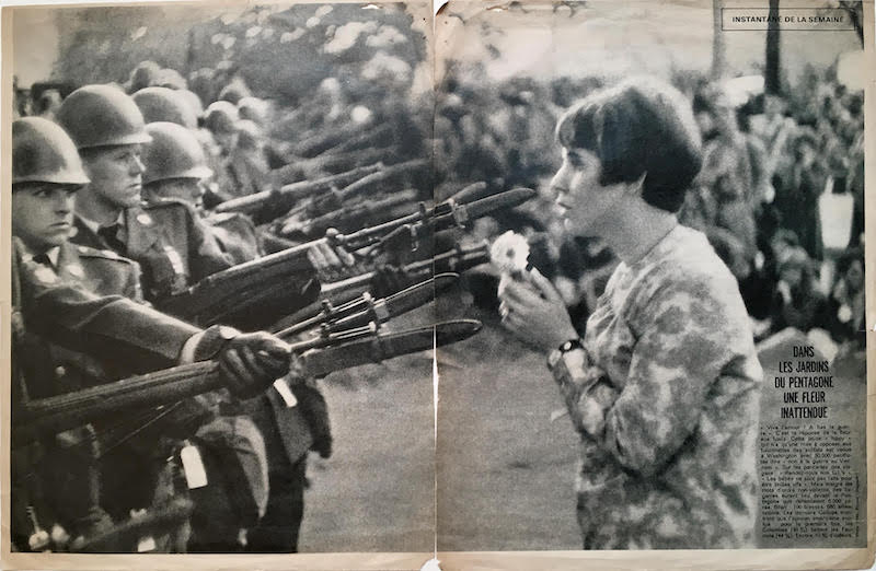 La révolte avec des fleurs – L'image sociale